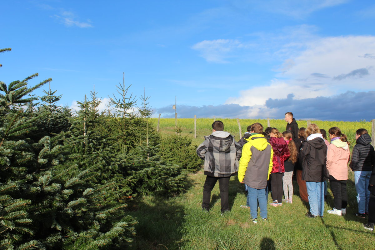 Projet PIC BTSA Gestion forestière – Sapins de Cosswiller